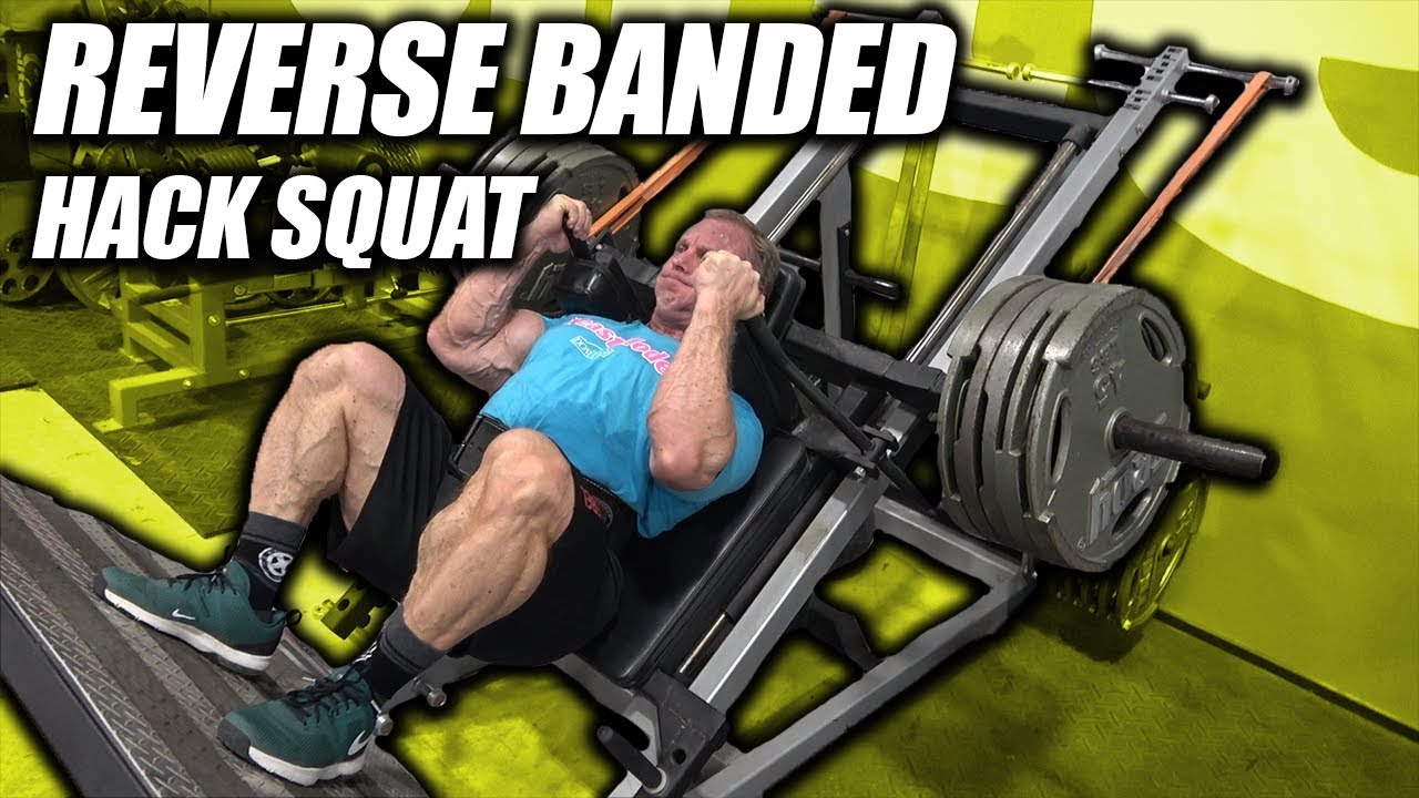 Exercise Index Reverse Banded Hack Squats Exercise Index Reverse Banded Hack Squats